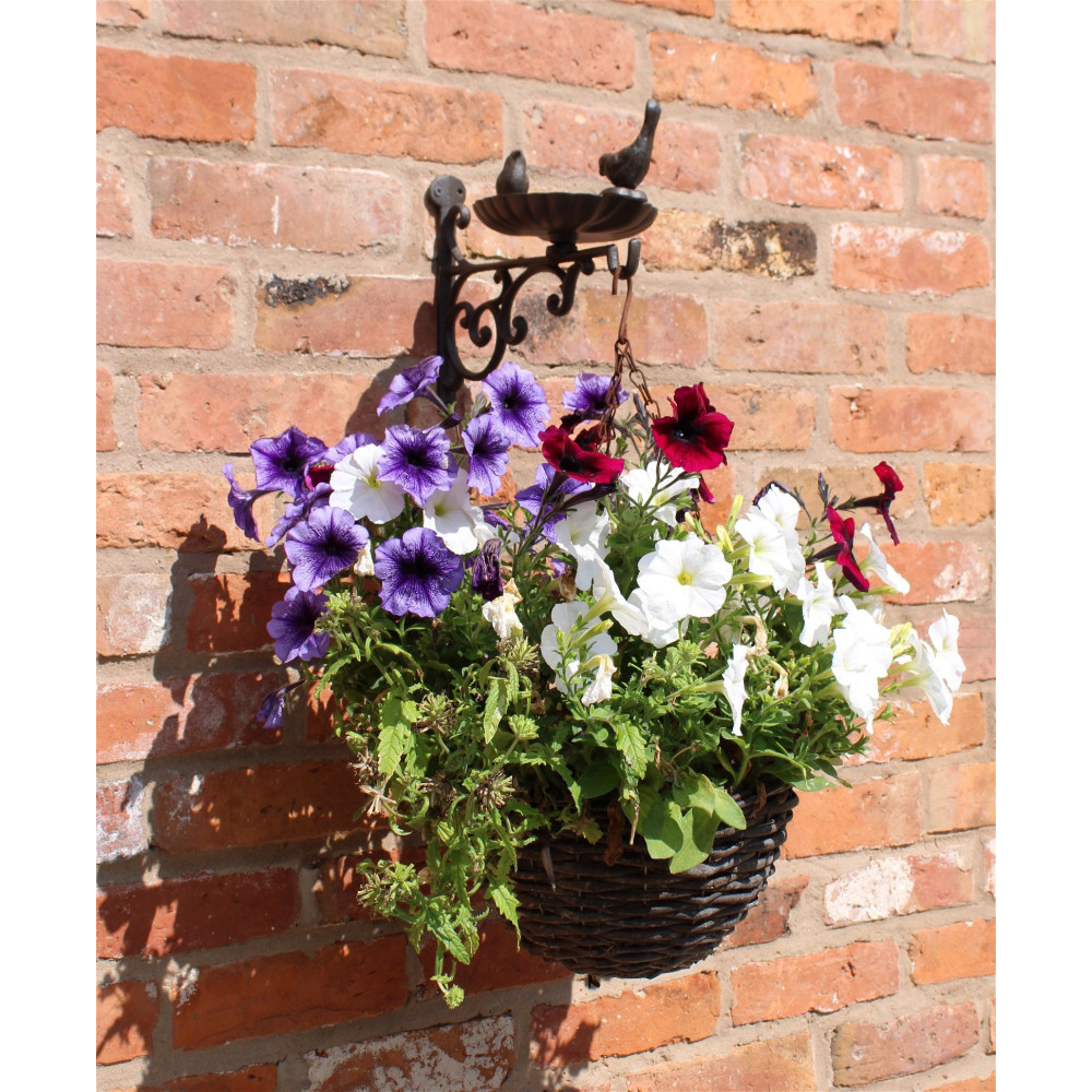 Support Mural Pour Panier Suspendu En Fonte Avec Mangeoire À Oiseaux De ...