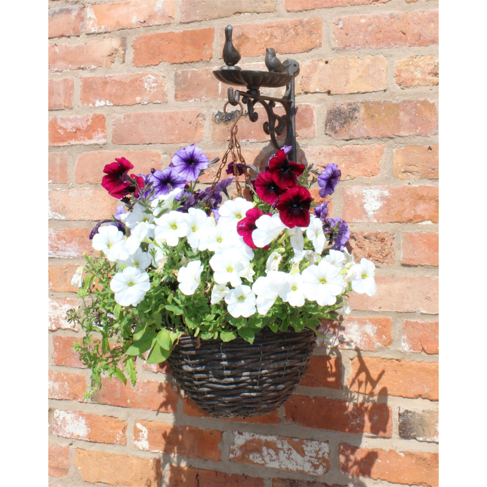 Support Mural Pour Panier Suspendu En Fonte Avec Mangeoire À Oiseaux De ...